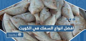 ما هي انواع السمك في بحر الكويت مع الصور - كويت بيديا